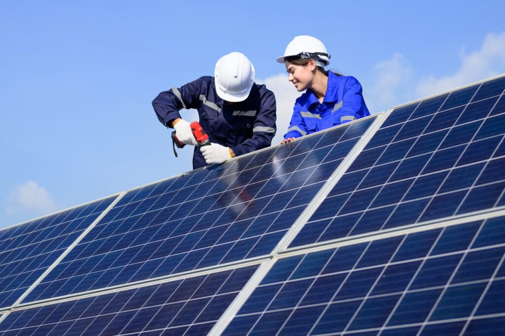 Services – BSS Green Life